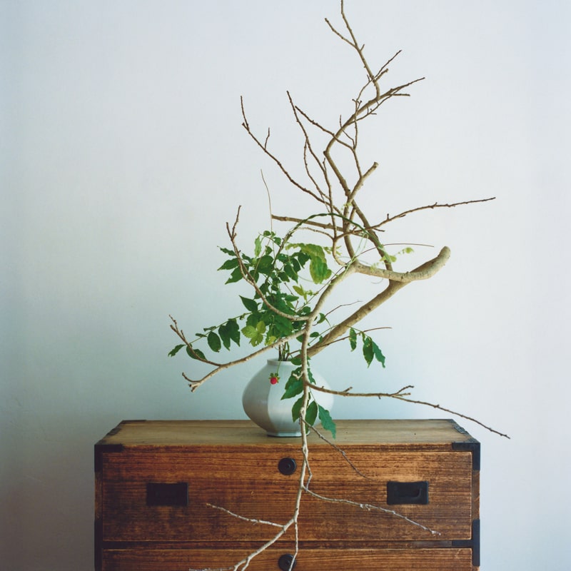 Interview with Toru Watarai | Silver Magazine